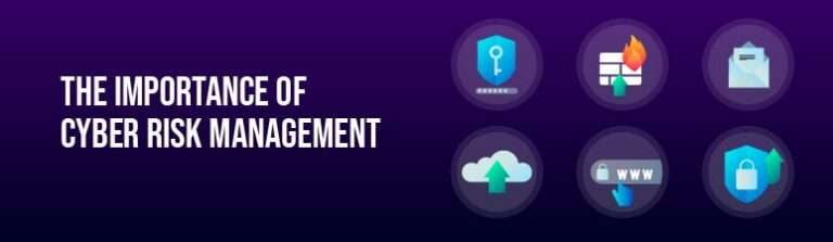 Cyber Risk Management in Business Accounting